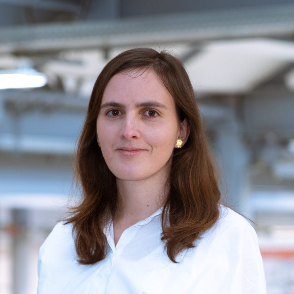 Veranstaltungen für November 2025 – Mittelstand-Digital Zentrum Ilmenau